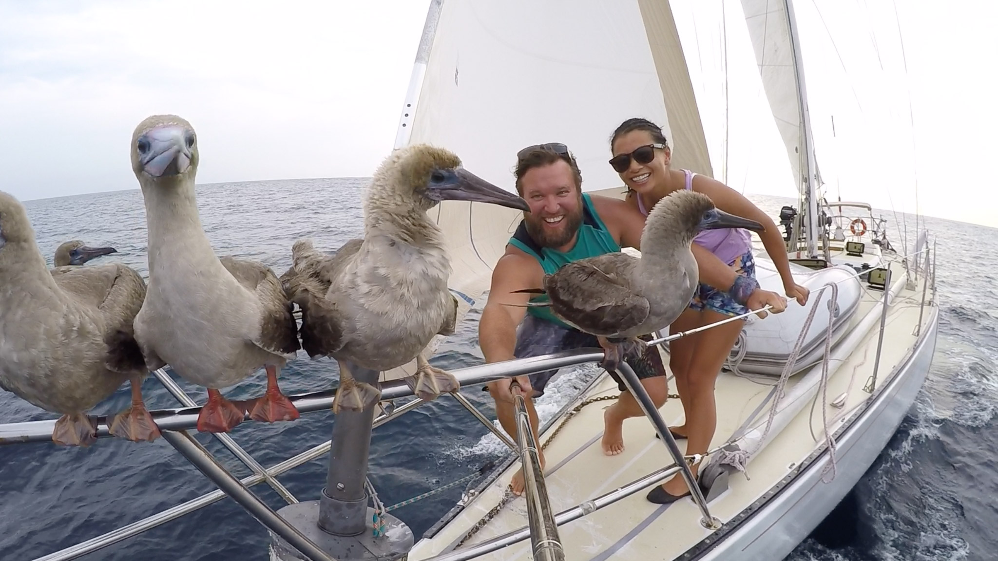 New Sailing Opportunities John Kretschmer Sailing New Sailing Opportunities John Kretschmer Sailing